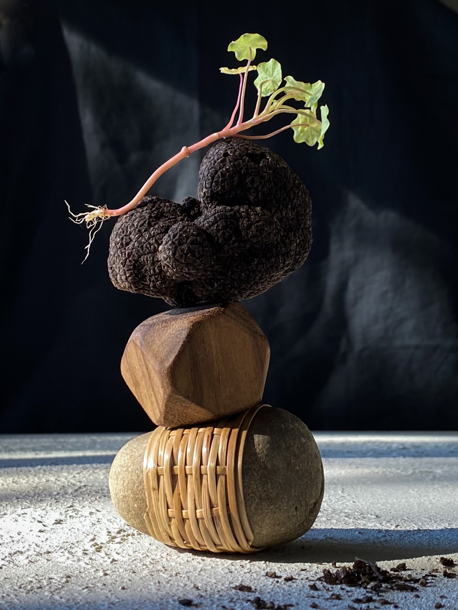 Elvesgate Truffle Farm - Organic + Biodynamic Truffle NSW